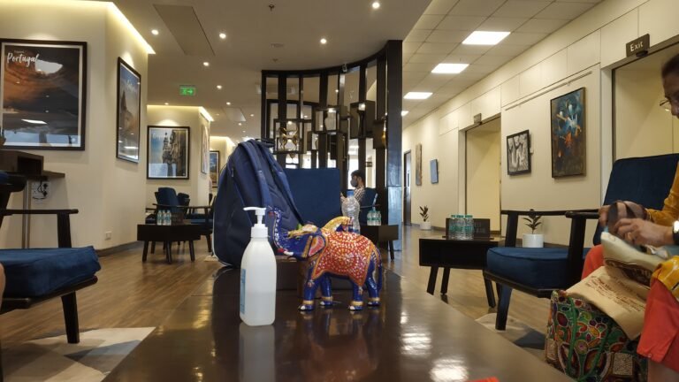 Review: VFS Global Premium Lounge – Backpack Birdie